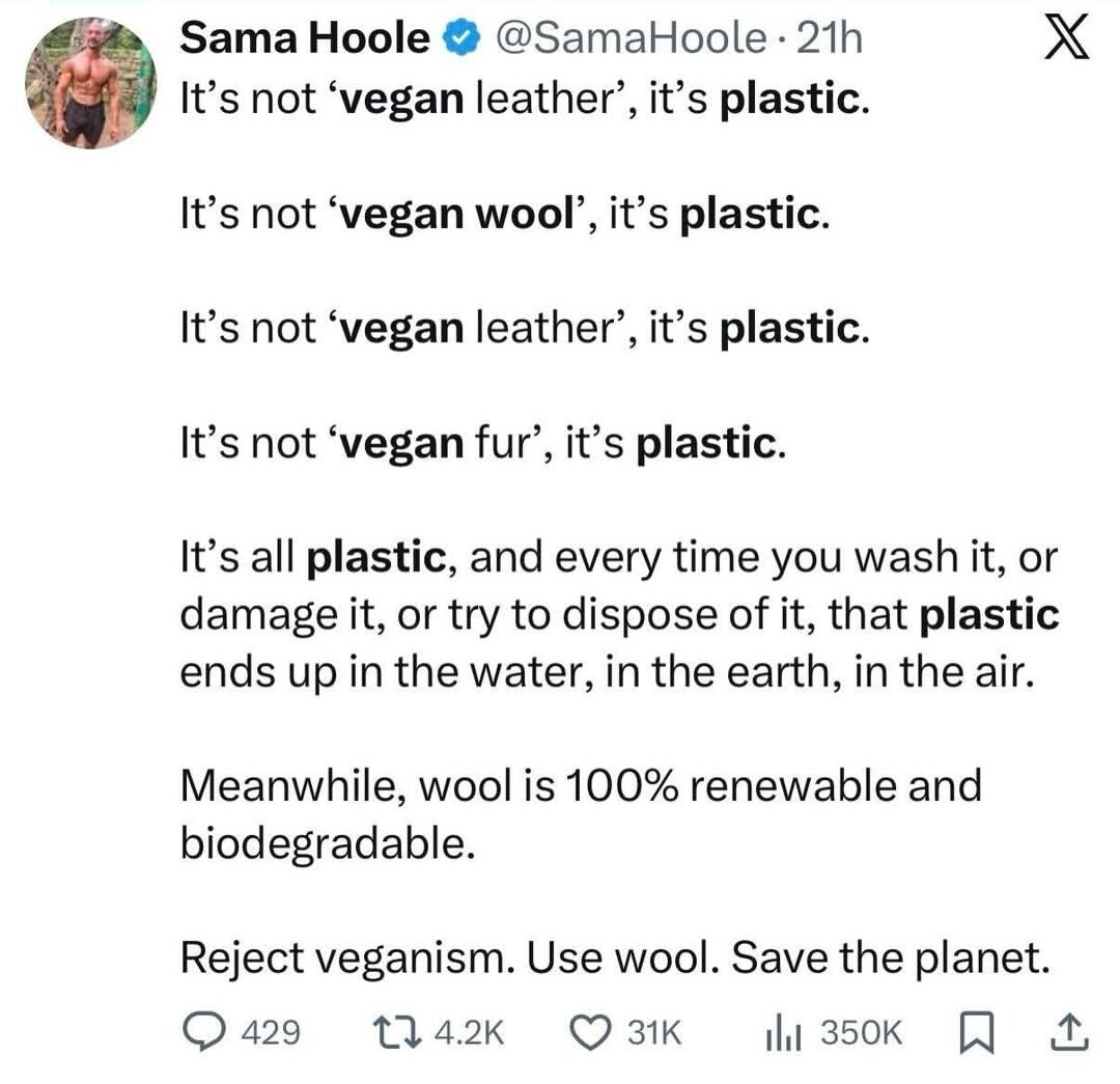 fine disheartened shoestring