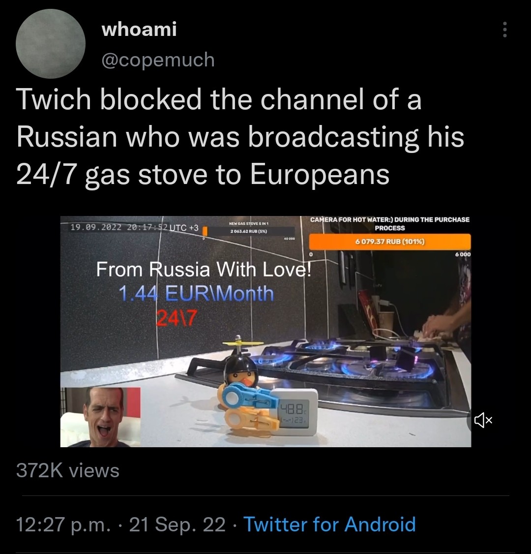 mysterious Alligator